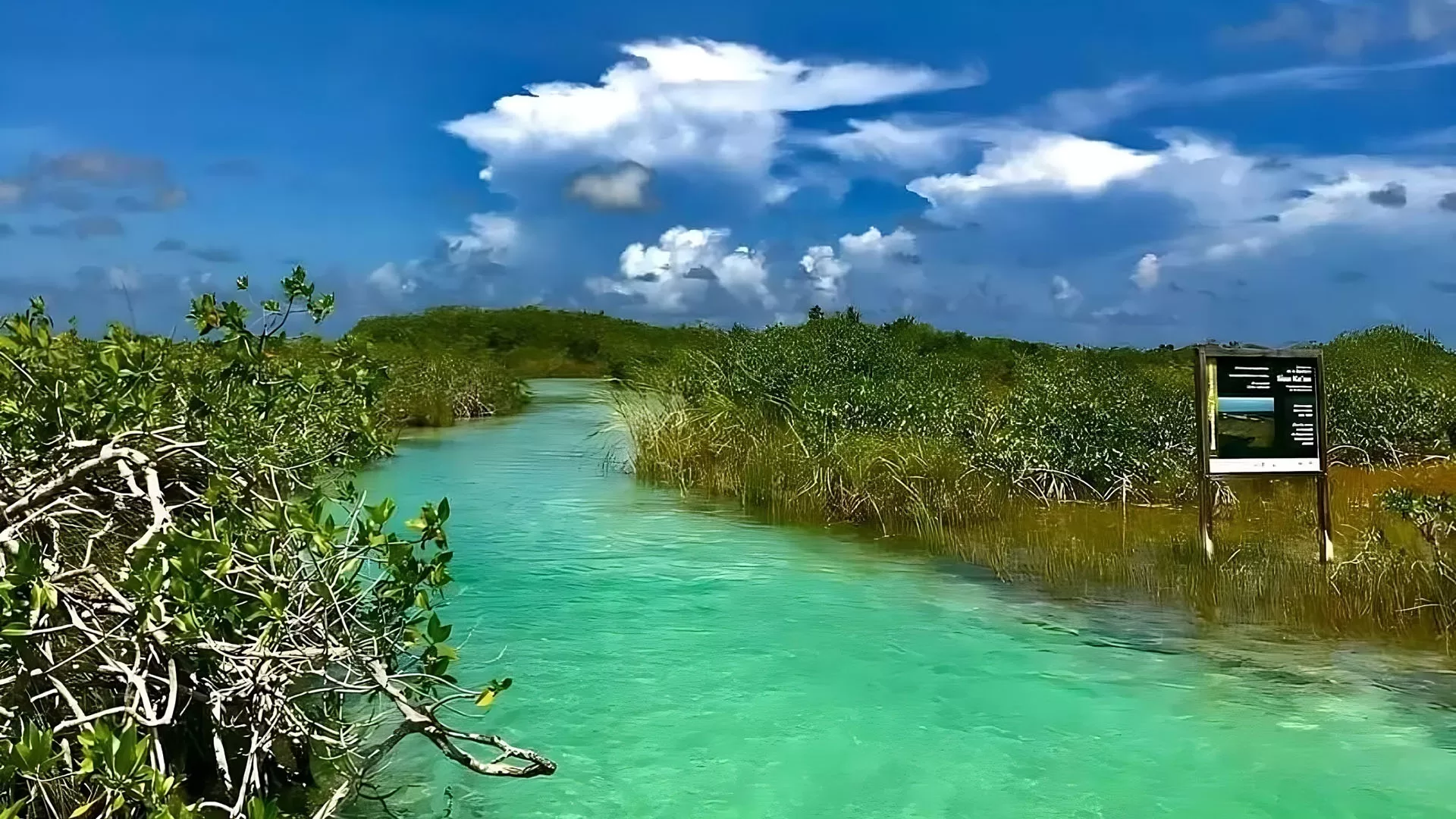 Maya Ka’an: La joya escondida de Quintana Roo que te desconecta del ...